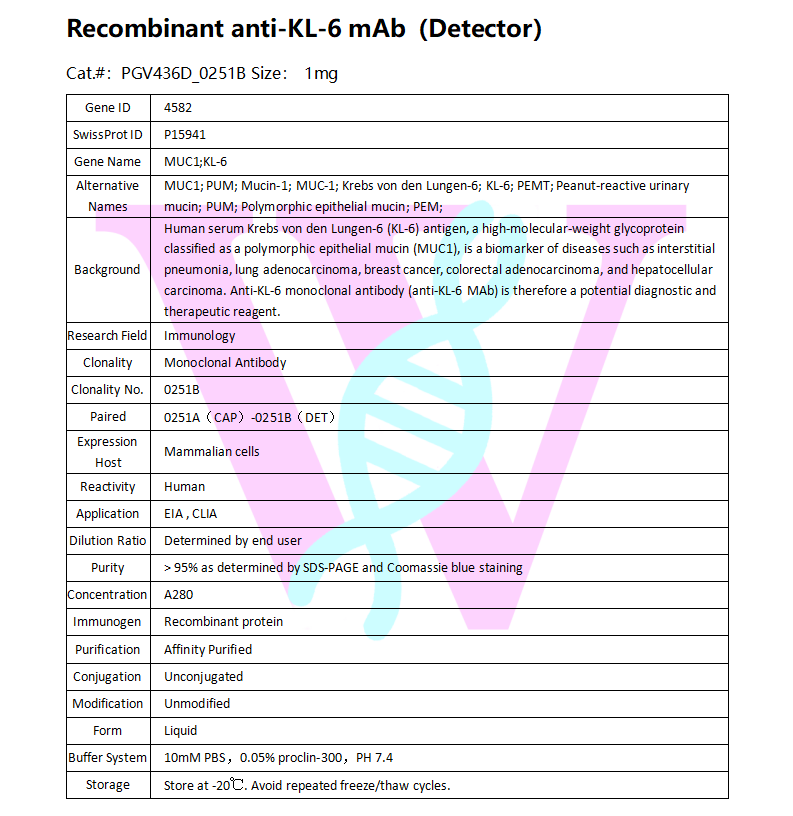 KL-6 mAb（Detector）