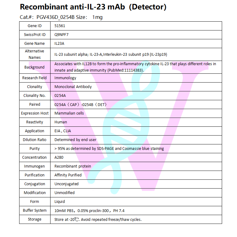 IL-23 mAb（Detector）