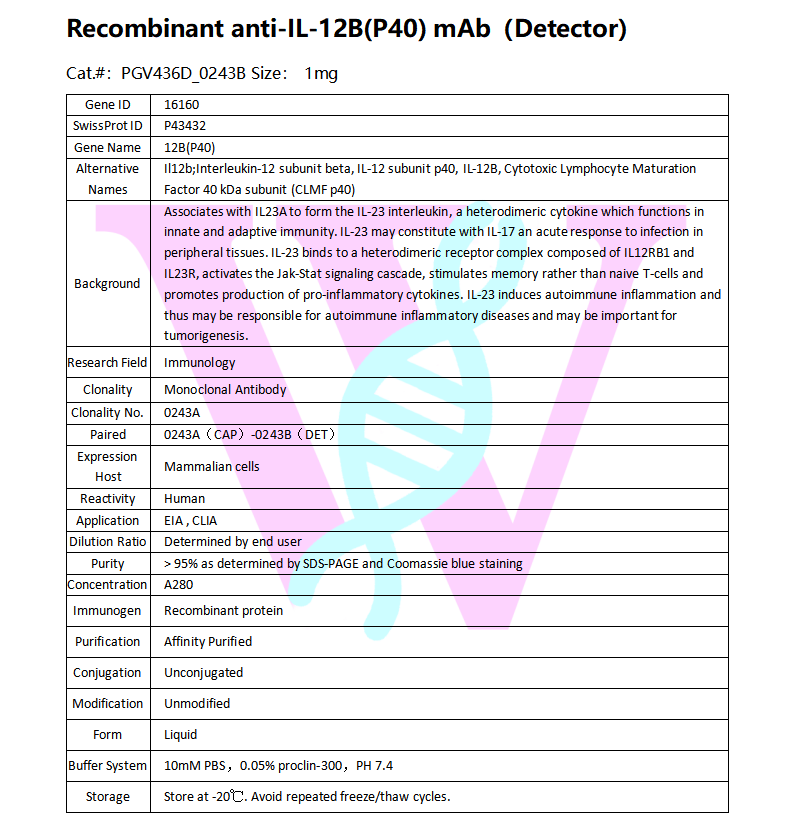 IL-12 mAb（Detector）