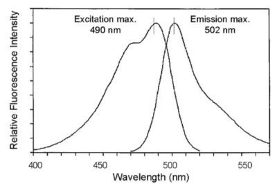 PKH67（细胞膜绿色荧光探针） - 知凡生物-科研试剂 l 官网