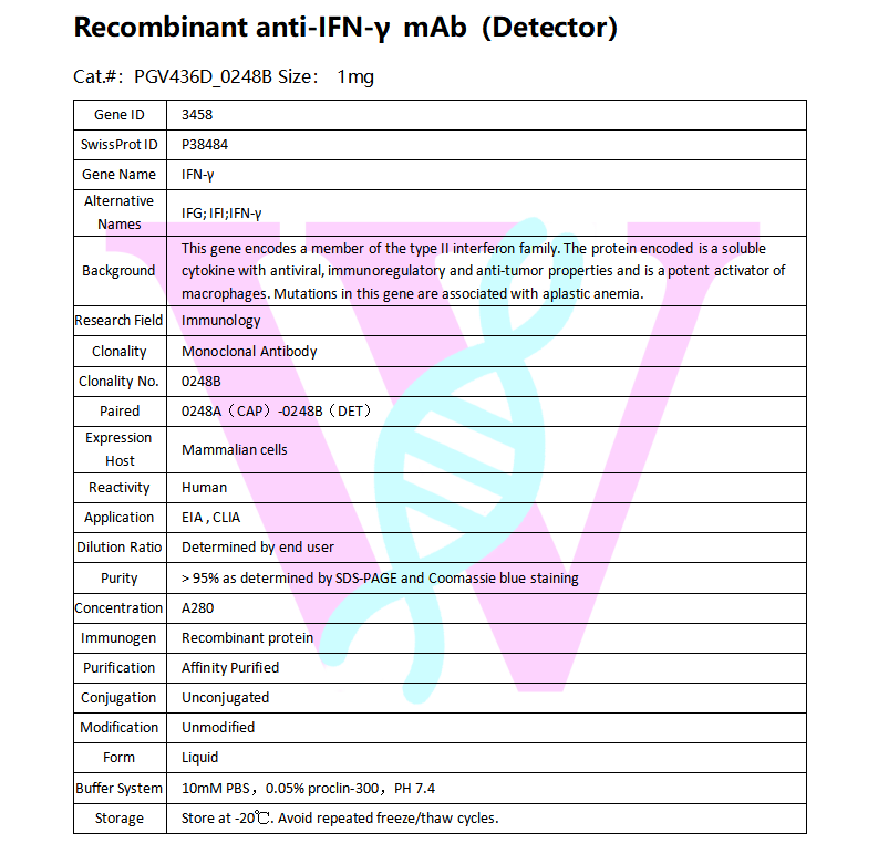 IFN-γ mAb（Detector）