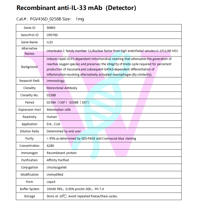 IL-33 mAb（Detector）